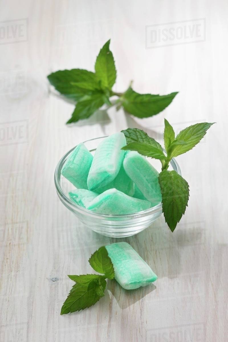 Mint bonbons and fresh mint - Stock Photo - Dissolve