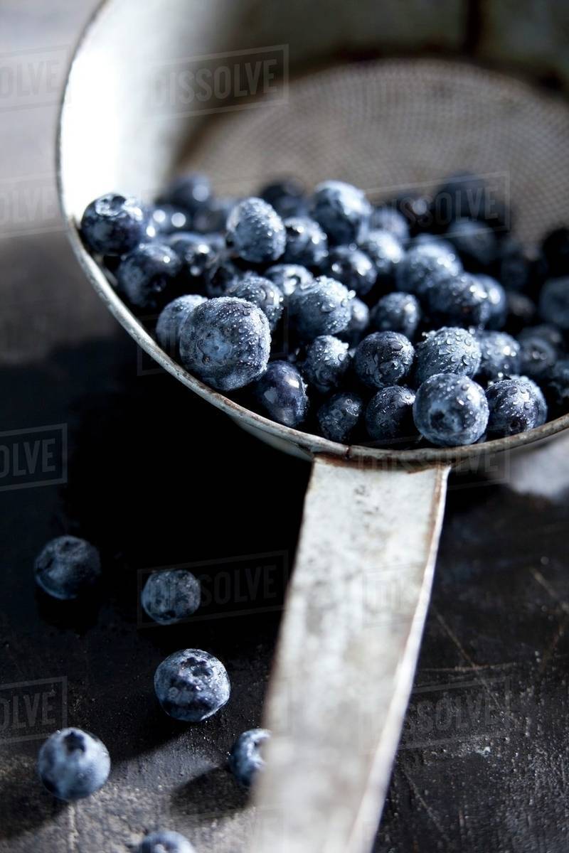 Blueberries in a pot - Royalty-free Stock Photo | Dissolve