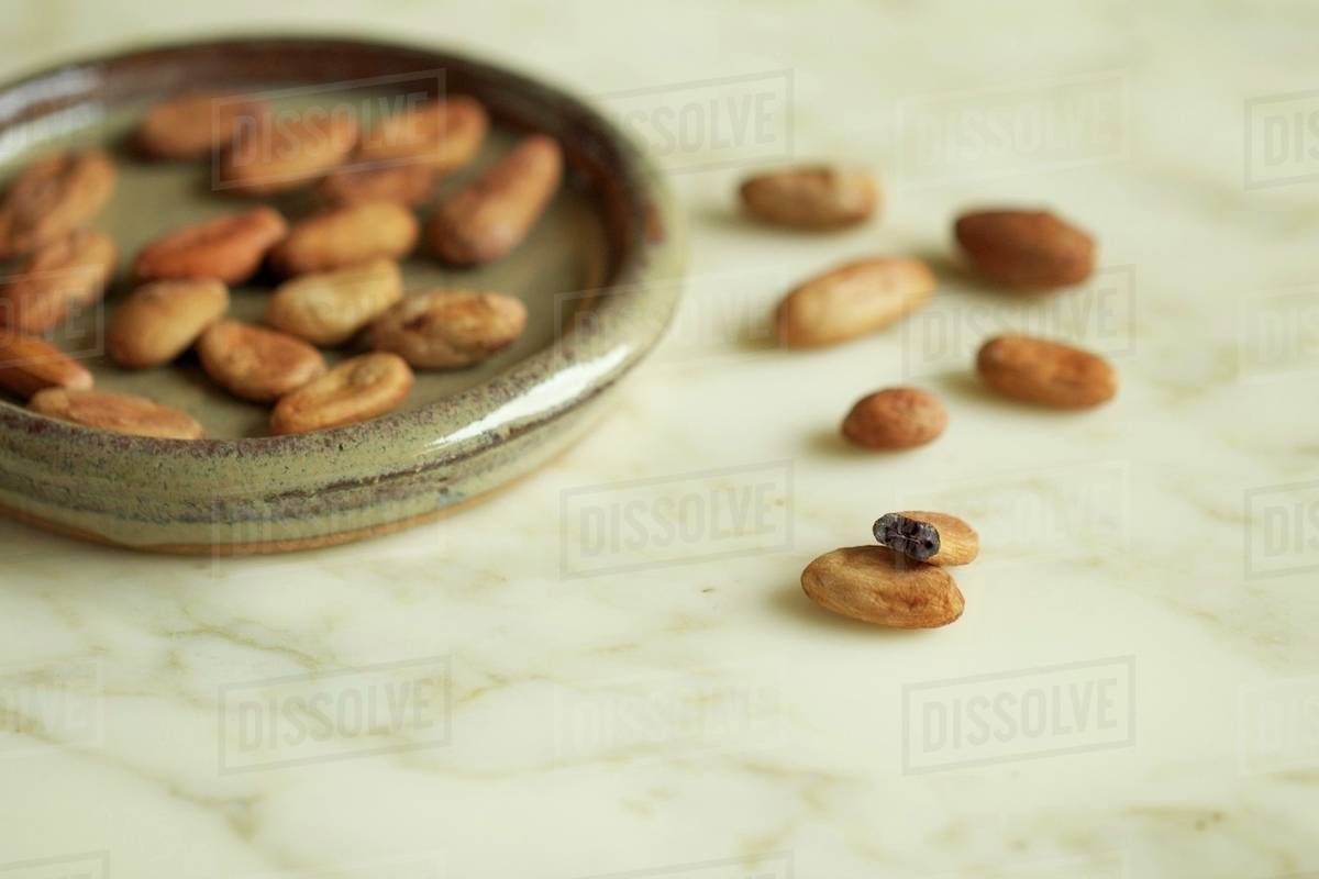 Raw, unroasted cocoa beans - Stock Photo - Dissolve