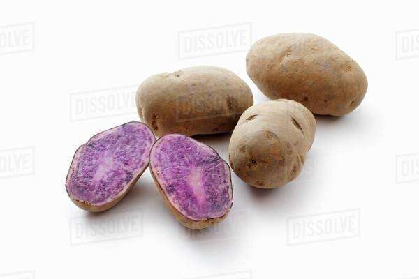 Blauer Schwede potatoes - Stock Photo - Dissolve