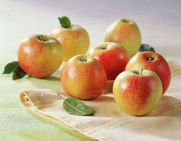 Seven apples with leaves (variety: Braeburn) - Royalty-free Stock Photo ...