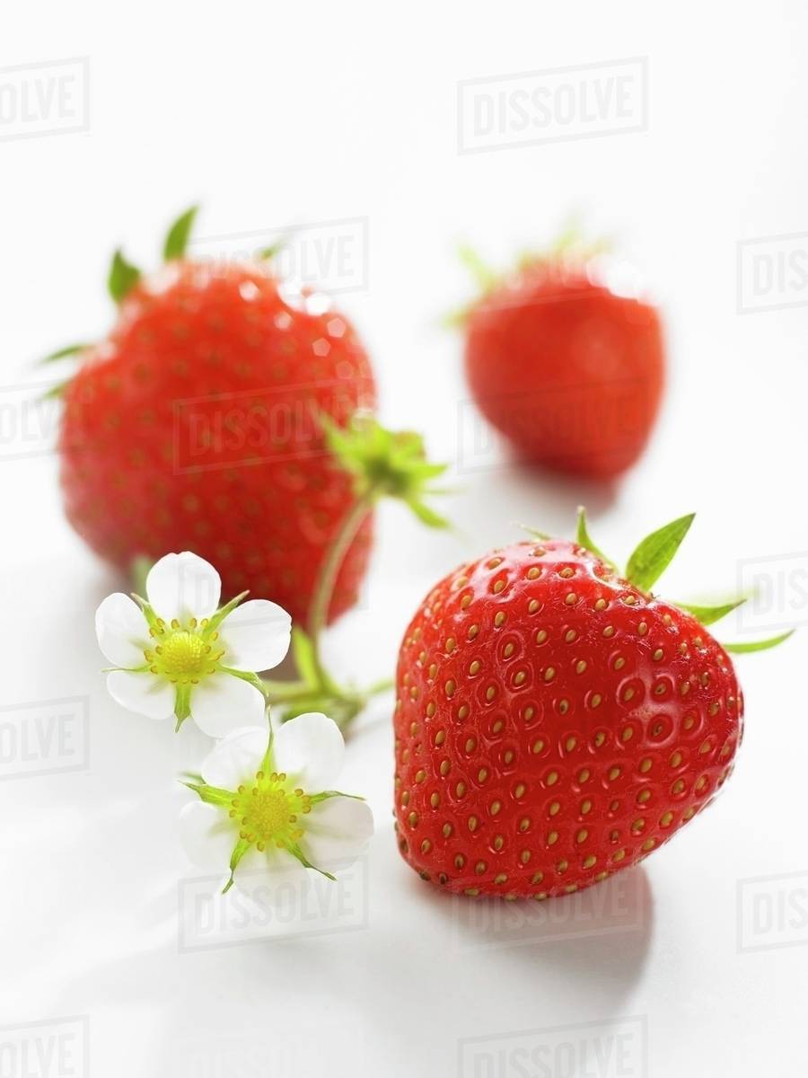 Three strawberries - Royalty-free Stock Photo | Dissolve