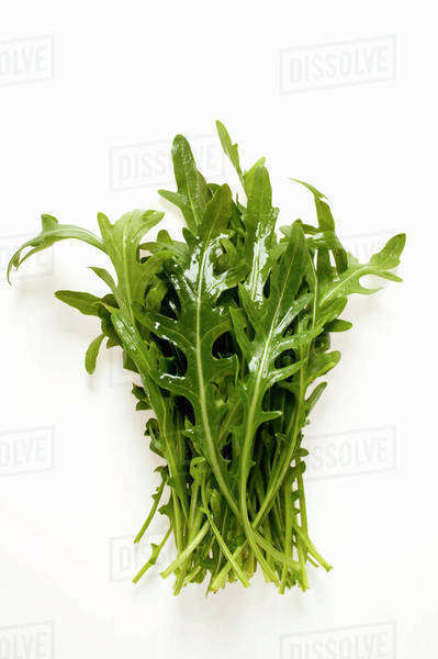 Fresh rocket - Royalty-free Stock Photo | Dissolve