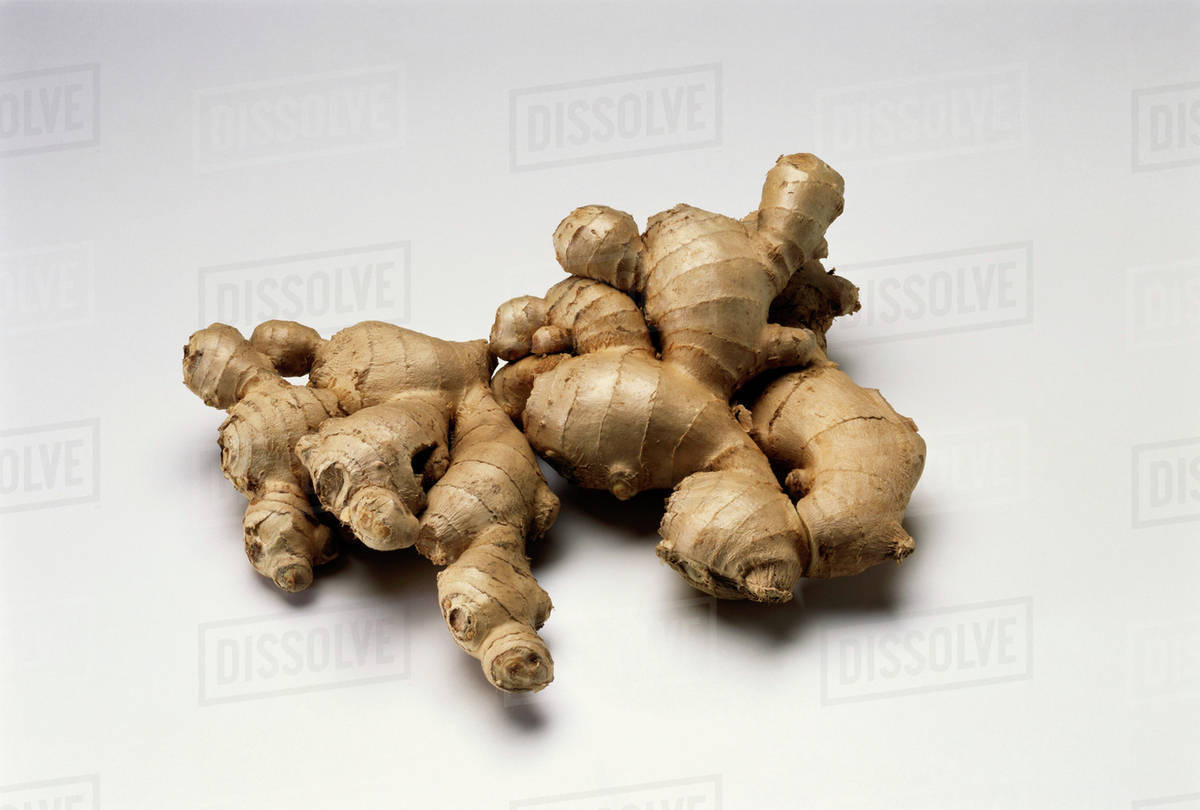 Fresh ginger roots - Stock Photo - Dissolve