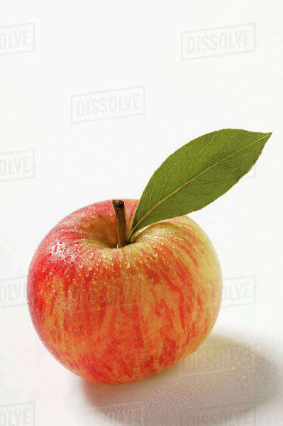 A fresh apple with stalk and leaf - Stock Photo - Dissolve