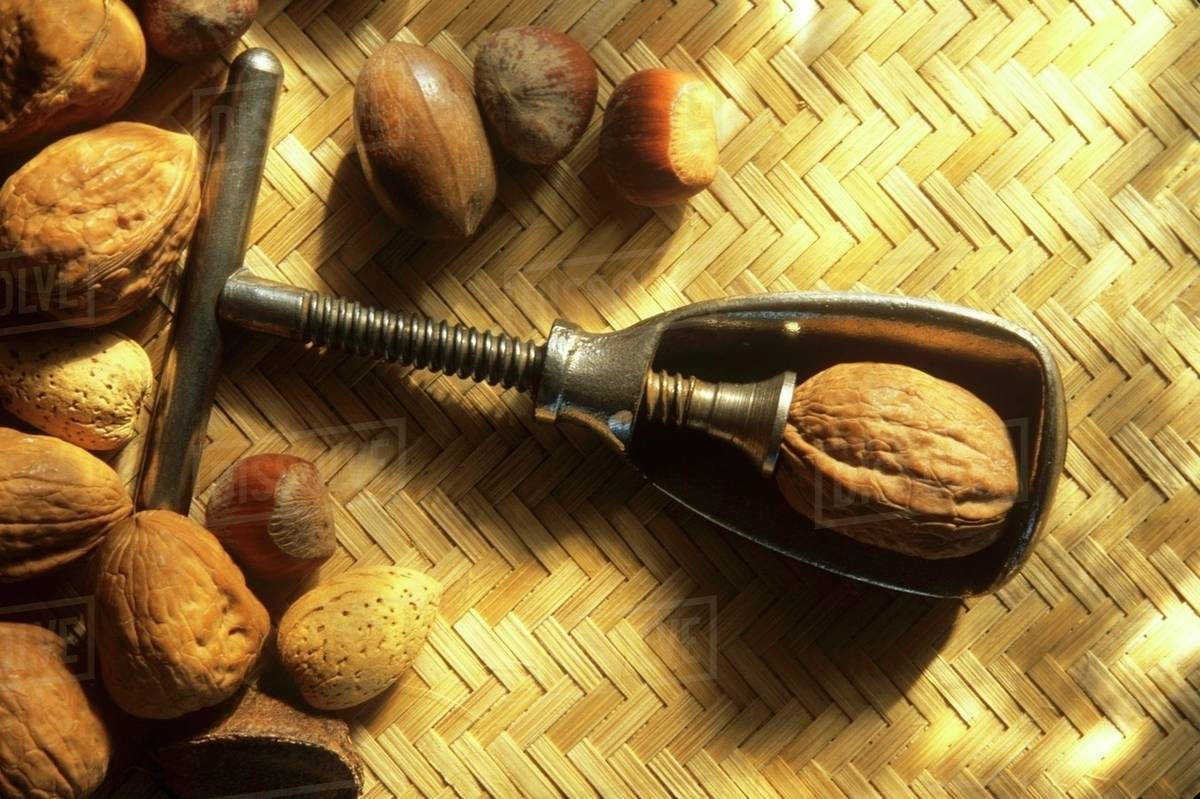 Walnut in an Antique Metal Nut Cracker; Assorted Nuts - Royalty-free ...