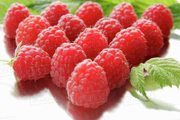 Fresh raspberries - Royalty-free Stock Photo | Dissolve