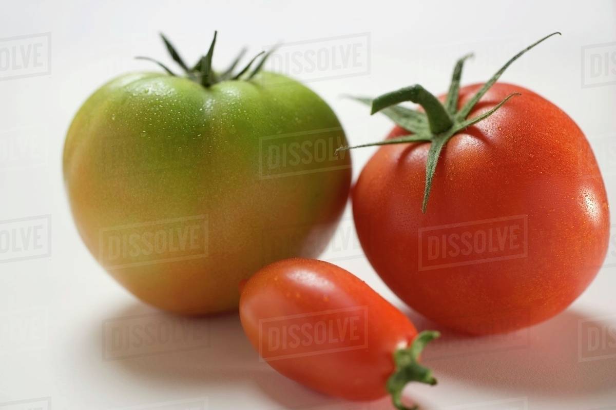 Three different tomatoes - Royalty-free Stock Photo | Dissolve