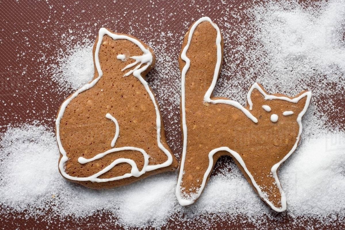 Two gingerbread cats - Royalty-free Stock Photo | Dissolve