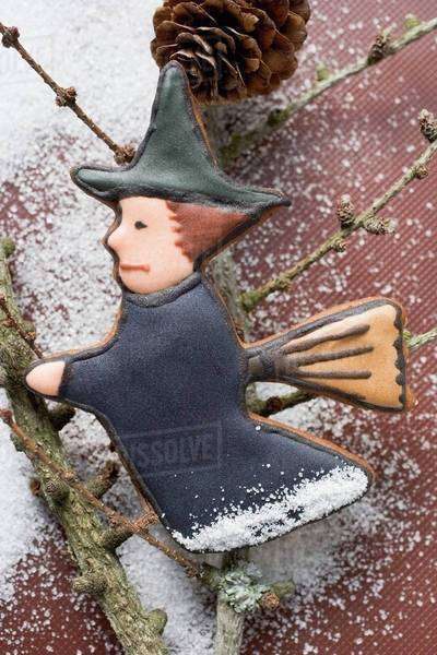 Gingerbread witch - Stock Photo - Dissolve