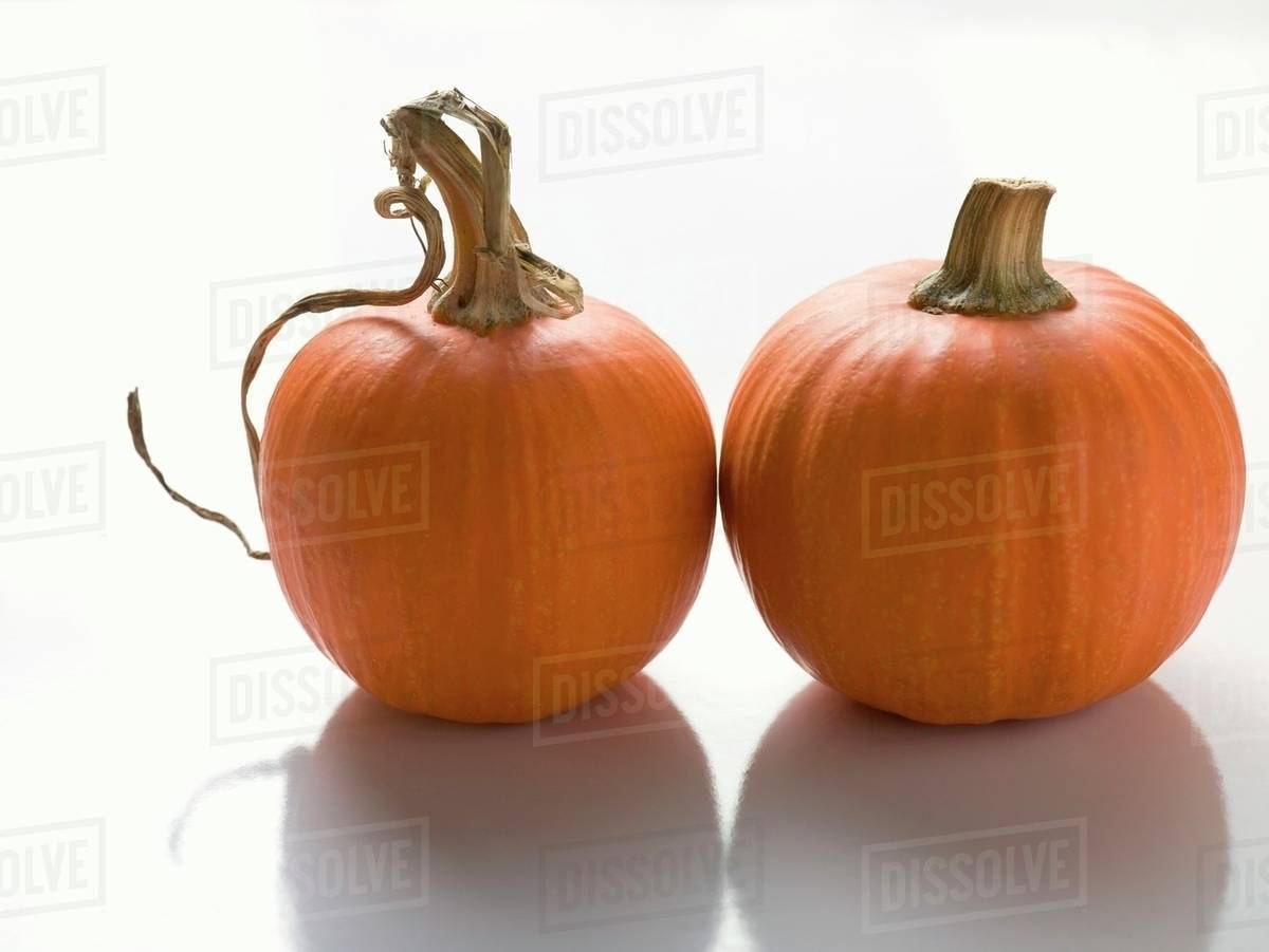 Two orange pumpkins - Royalty-free Stock Photo | Dissolve