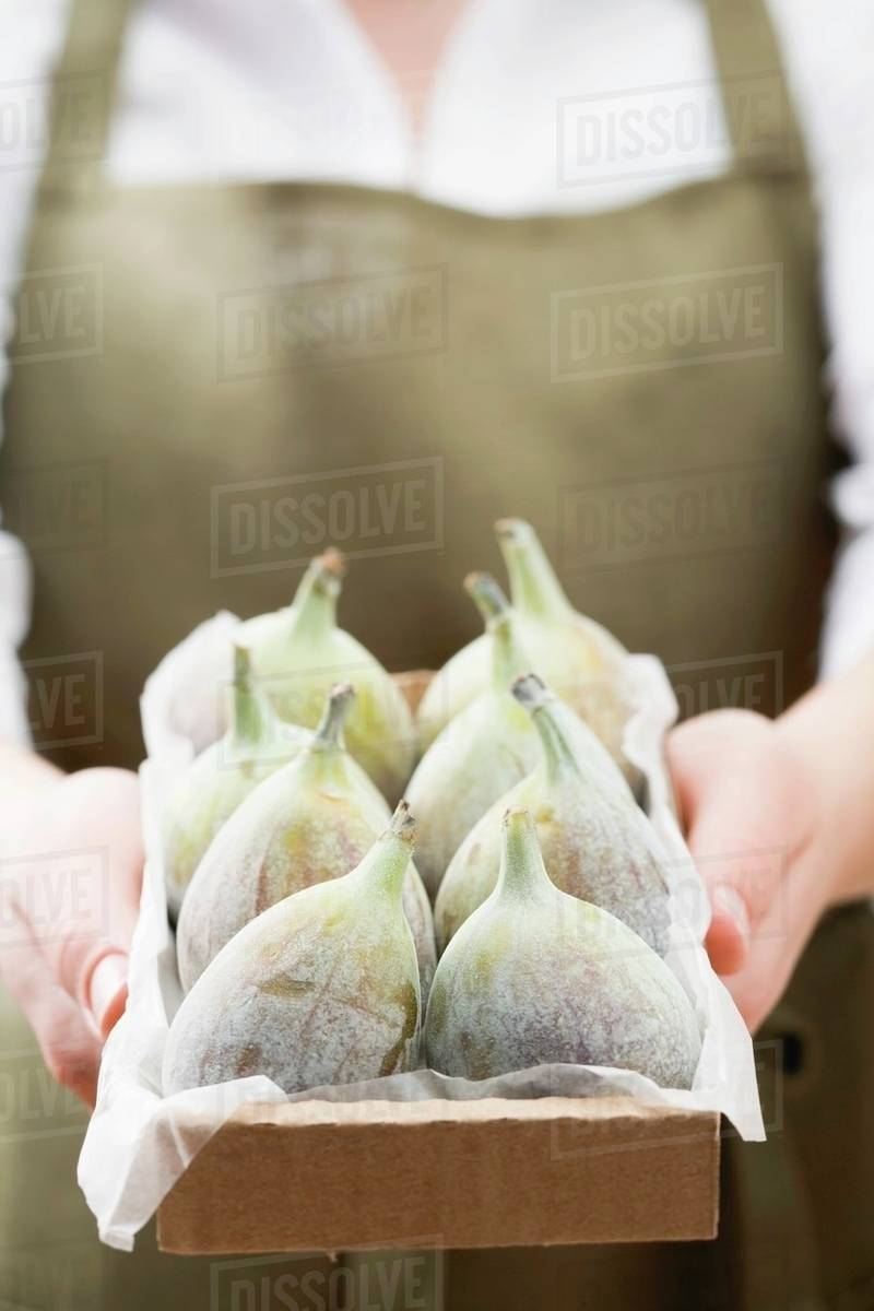 Woman holding box of fresh figs - Stock Photo - Dissolve
