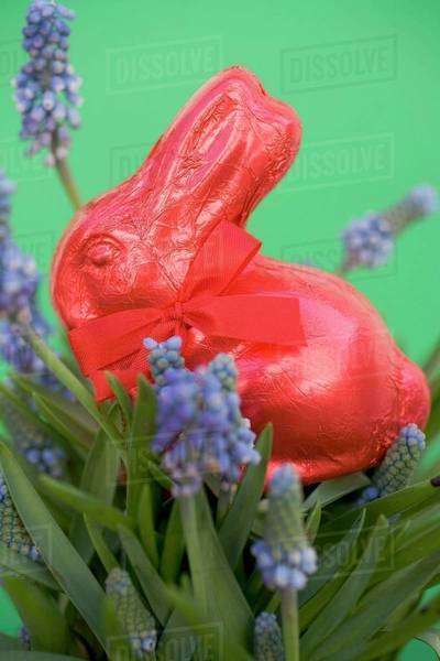 Red Easter Bunny among spring flowers - Royalty-free Stock Photo | Dissolve