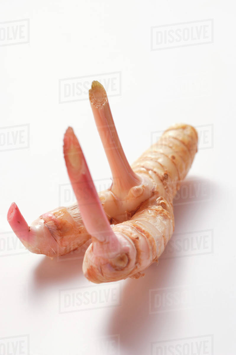 Fresh galanga root - Royalty-free Stock Photo | Dissolve