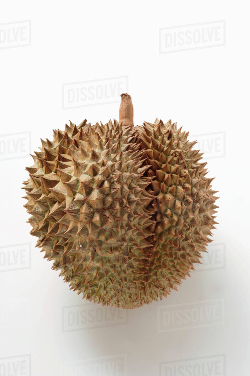 Durian - Royalty-free Stock Photo | Dissolve