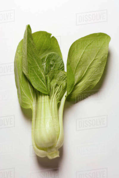 Baby pak choi - Royalty-free Stock Photo | Dissolve