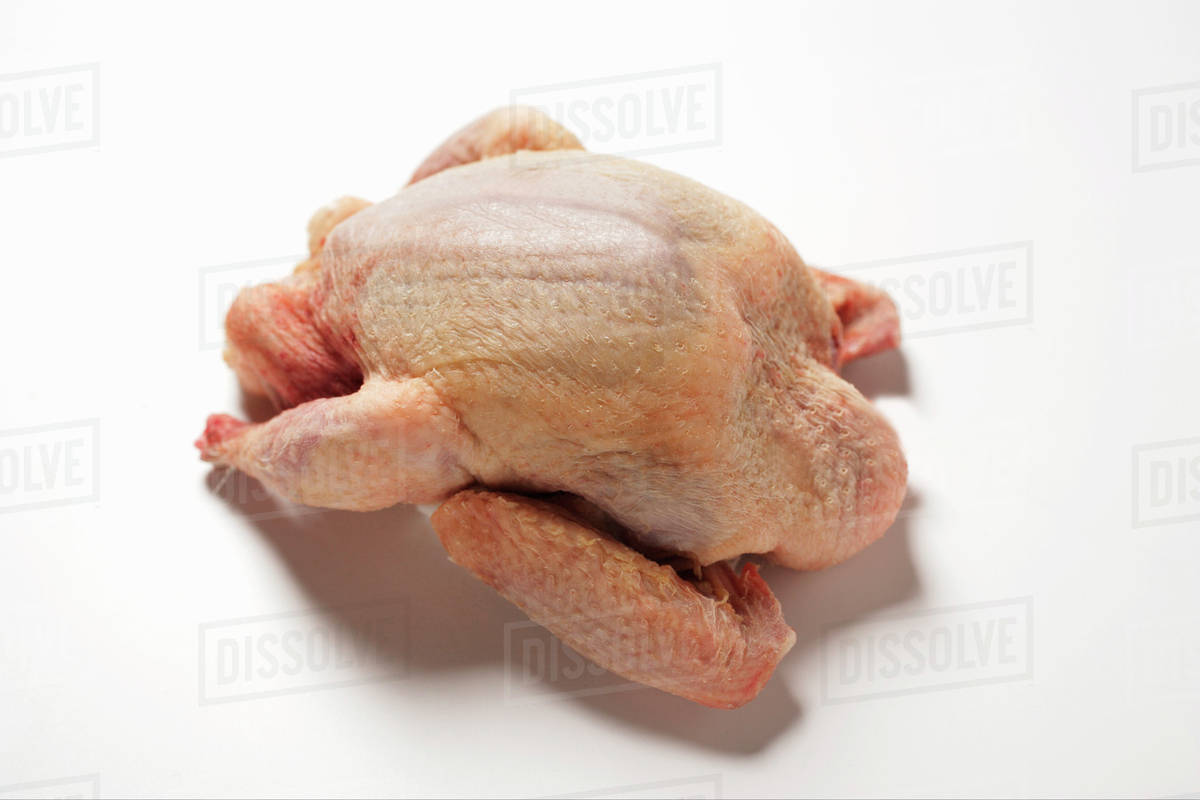 Fresh pigeon - Stock Photo - Dissolve