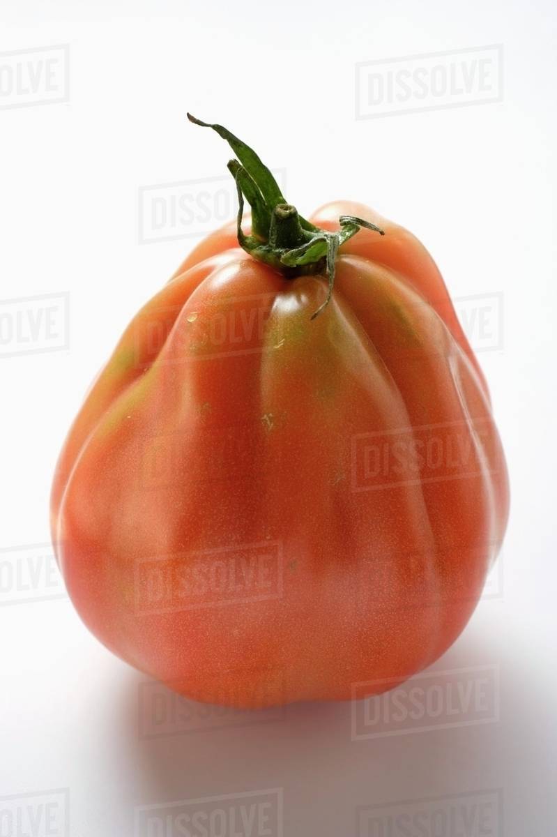 A tomato (standing on its end) - Royalty-free Stock Photo | Dissolve