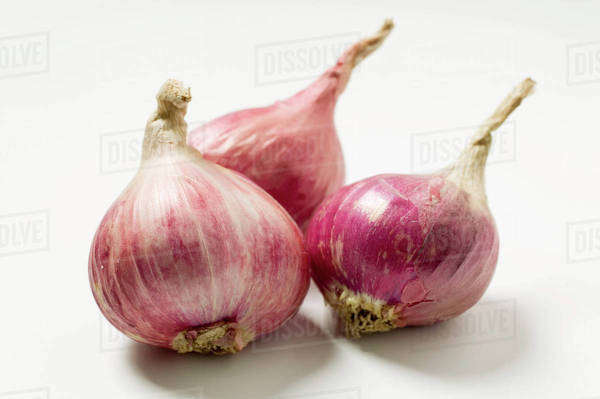 Three red onions - Stock Photo - Dissolve