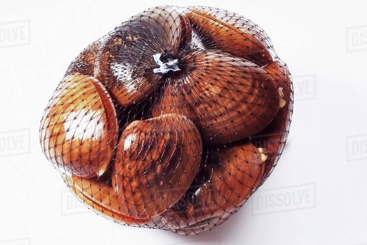 Clams packed in a net, ready to sell - Stock Photo - Dissolve