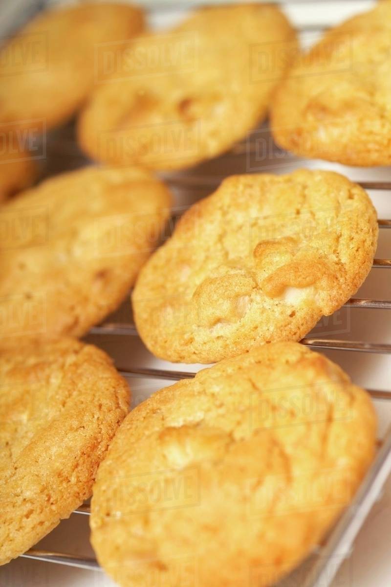 White chocolate biscuits - Royalty-free Stock Photo | Dissolve