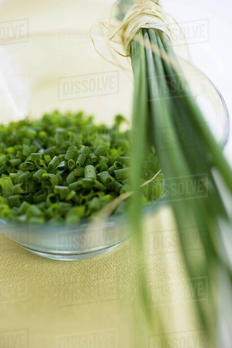 Fresh chives, a bunch and chopped - Royalty-free Stock Photo | Dissolve