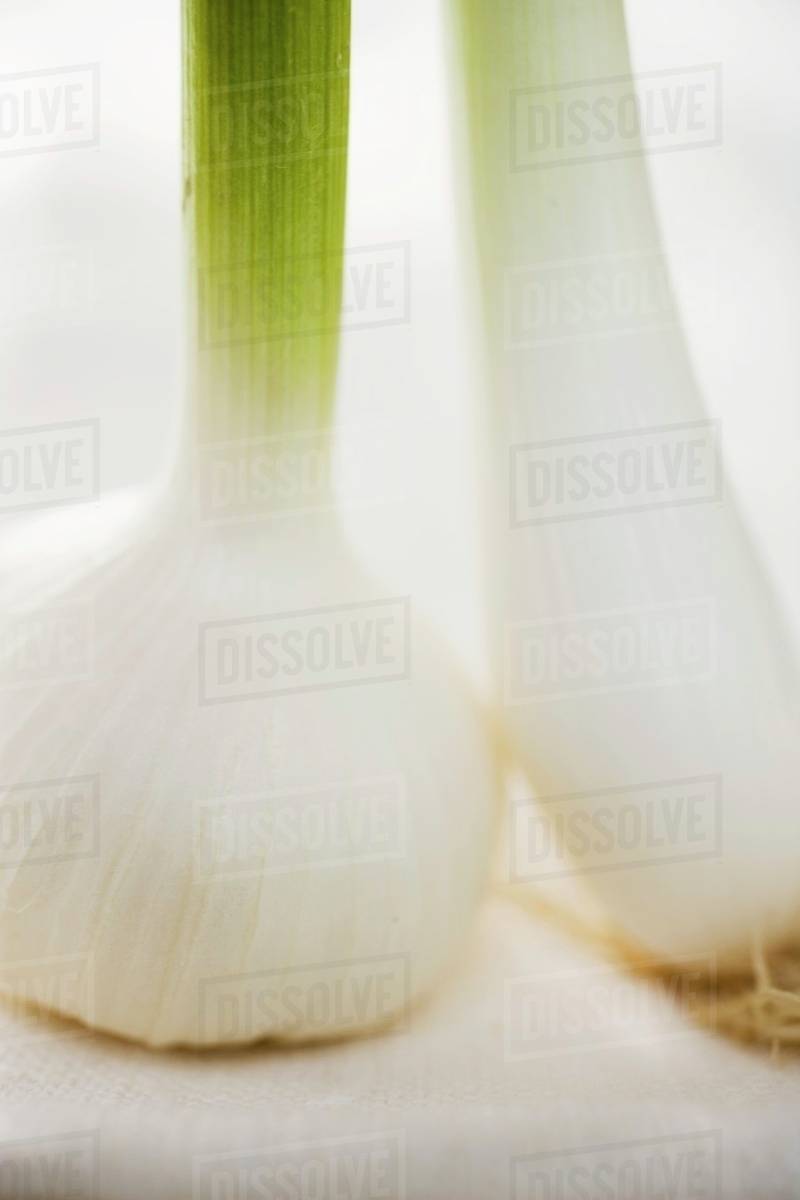 Fresh garlic and spring onion (detail) - Royalty-free Stock Photo ...