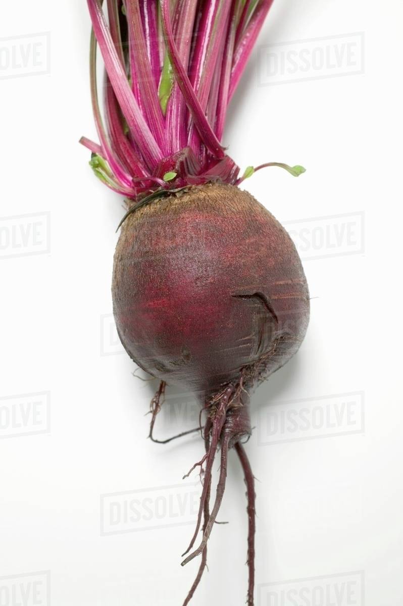 Beetroot (close-up) - Royalty-free Stock Photo | Dissolve