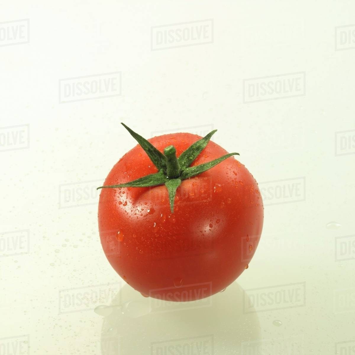 One tomato - Stock Photo - Dissolve