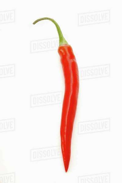 A Single Red Chili Pepper - Royalty-free Stock Photo | Dissolve