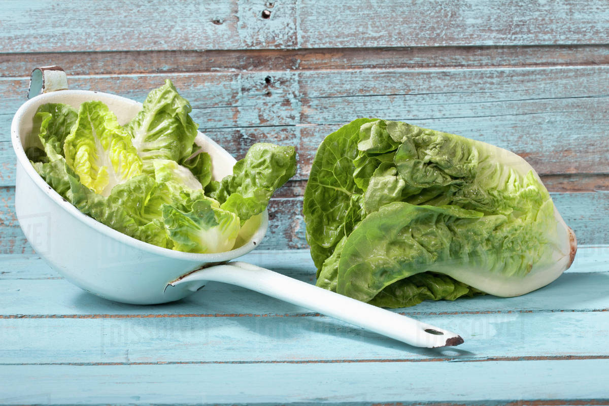 Close up of mini romaine lettuce in pan - Stock Photo - Dissolve