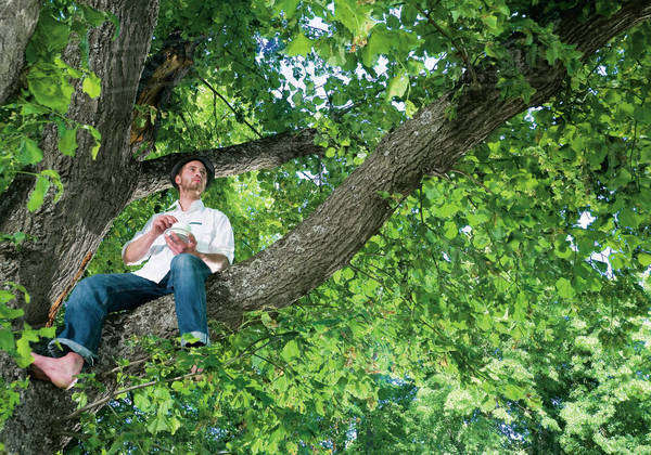 Germany, Young man sitting on tree - Stock Photo - Dissolve