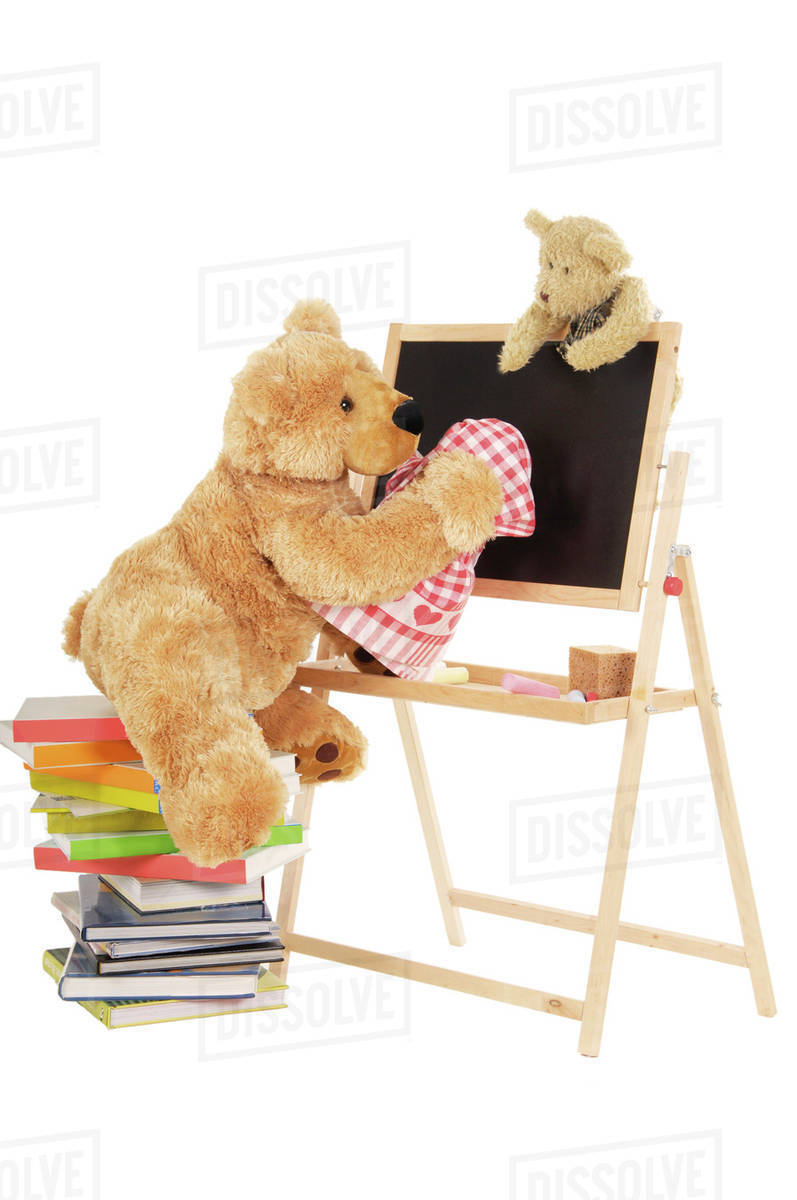 Teddy bear wiping black board - Stock Photo - Dissolve