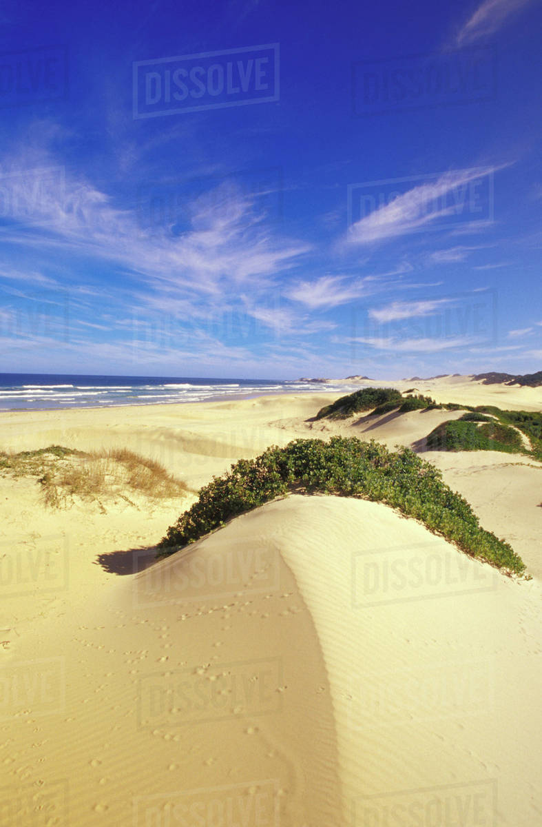 Sanddunes at Buchmans River Mouth, Port Alfred, Eastern Cape, South ...