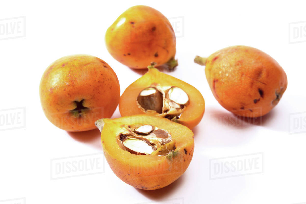 Medlars, close-up - Stock Photo - Dissolve