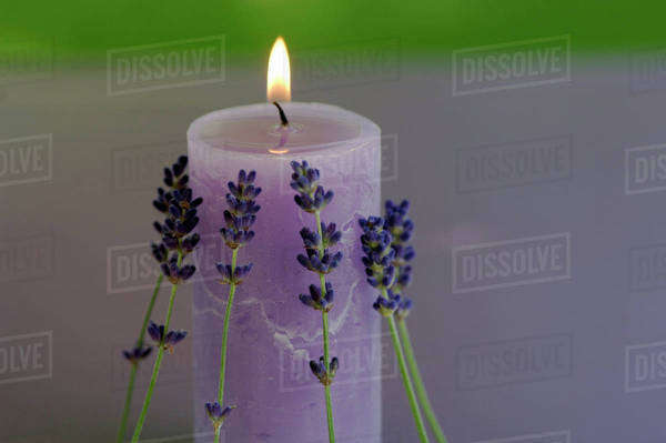 Burning lavender candle - Stock Photo - Dissolve