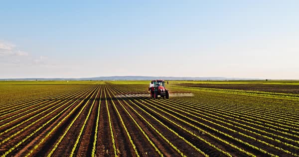 Farmer in tractor spraying industrial green soybean farm field - Stock ...
