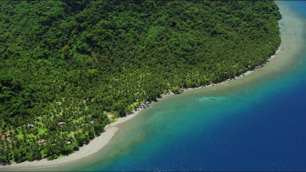 Flight along tropical forest covered coast with the ocean colors ...