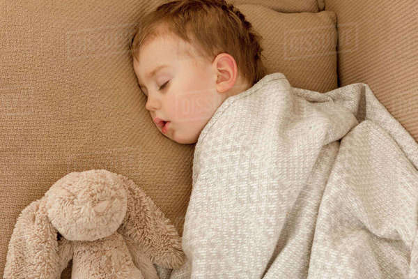 Little, cute caucasian boy sleeping on couch at home. Child taking day ...