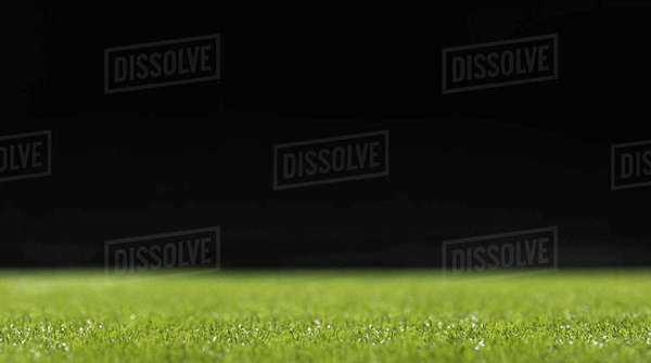 A selective background of green grass at the bottom of the frame with ...