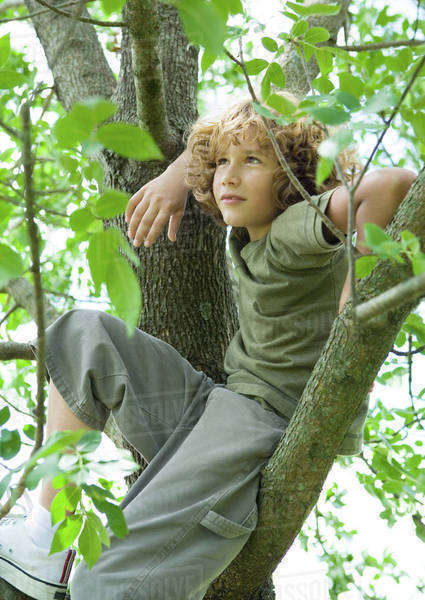 Boy sitting in tree - Royalty-free Stock Photo | Dissolve