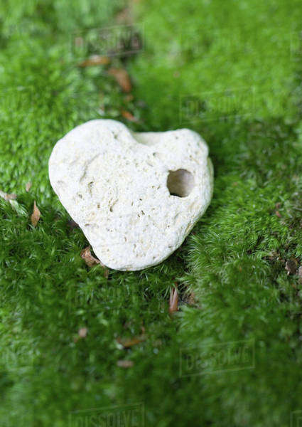 Pebble with hole on moss, extreme close-up - Royalty-free Stock Photo ...