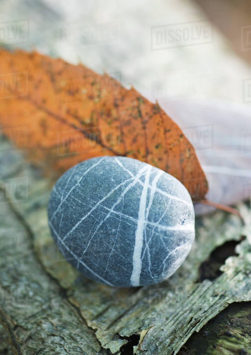 Pebble, leaf and bark - Royalty-free Stock Photo | Dissolve
