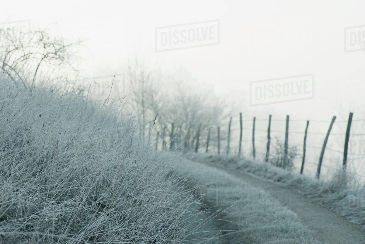 Frost covered landscape - Royalty-free Stock Photo | Dissolve