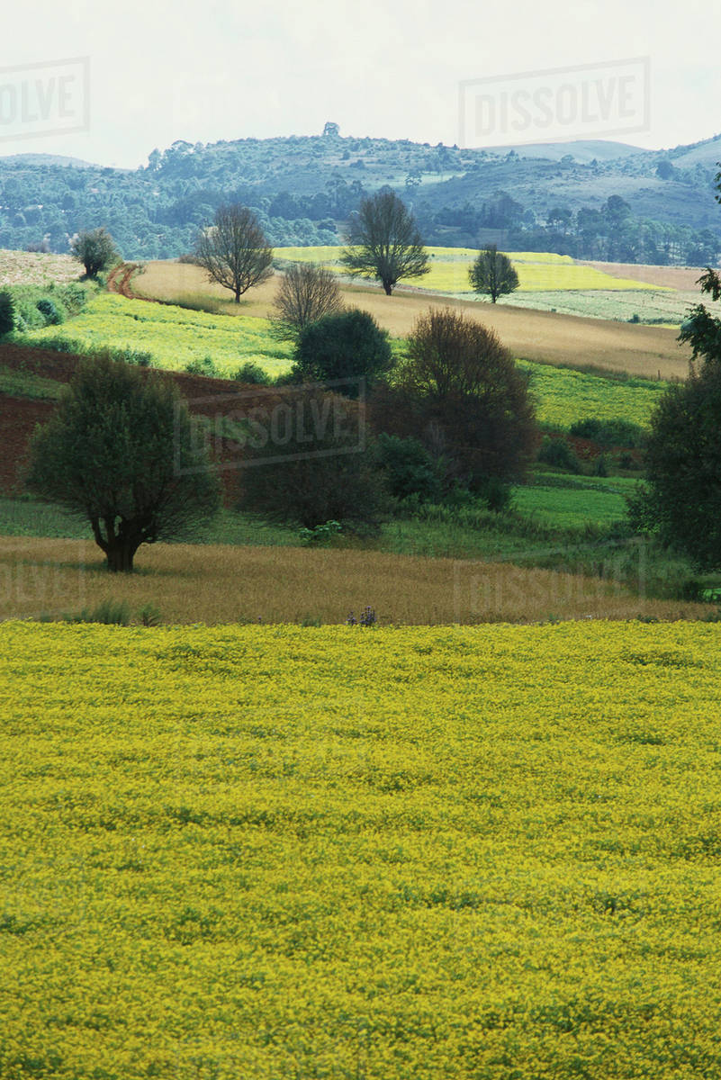 Picardy, France, landscape with fields of crops and rolling hills ...