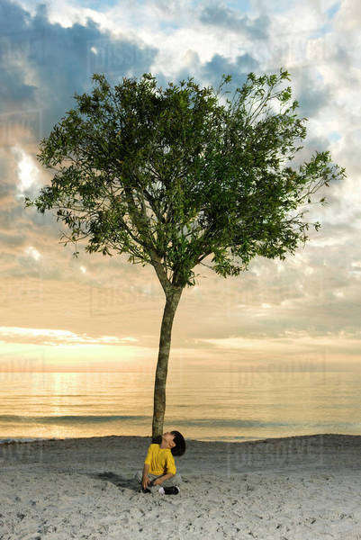 Boy sitting beneath tree on beach - Royalty-free Stock Photo | Dissolve