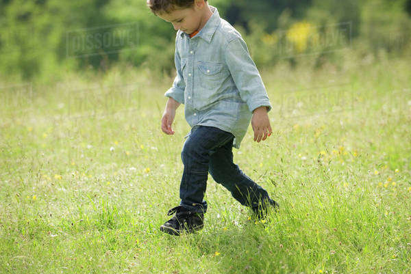 Little boy walking in field - Stock Photo - Dissolve