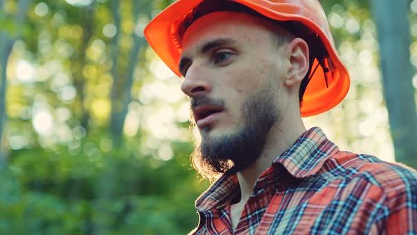 Bearded young logger or lumberjack wearing a bright orange hardhat ...