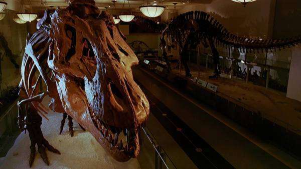 FootageBank | Dissolve