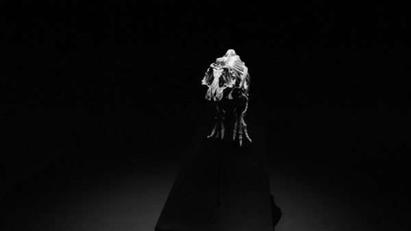 FootageBank | Dissolve